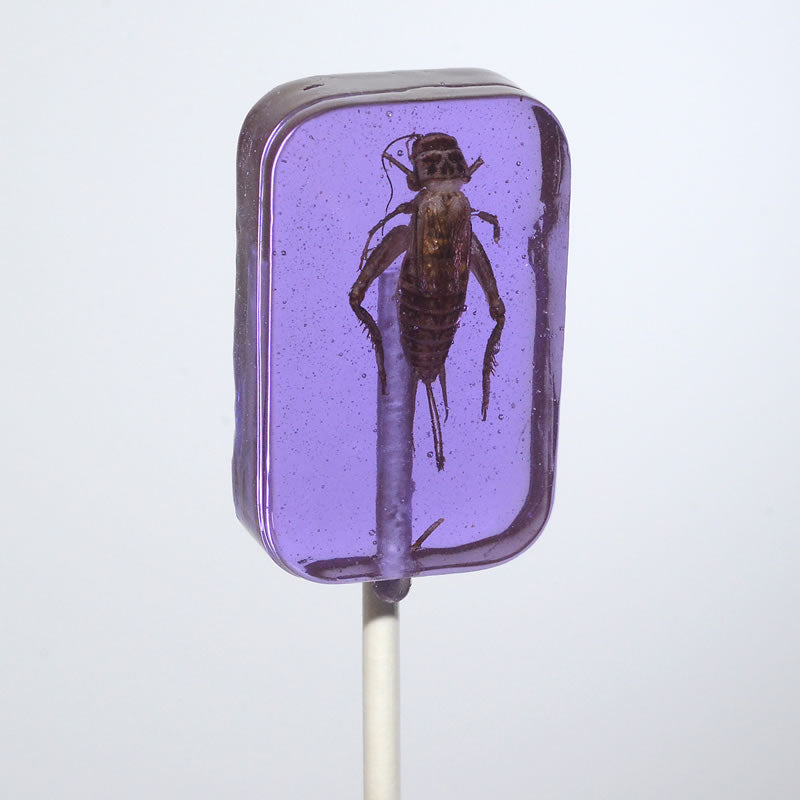 HotLix Cricket Grape Sucker – 2 Kids Candy Store